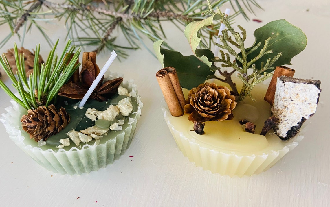 4 Pack Fire Starters, All Natural Homemade Firestarters, Forest Scented ...