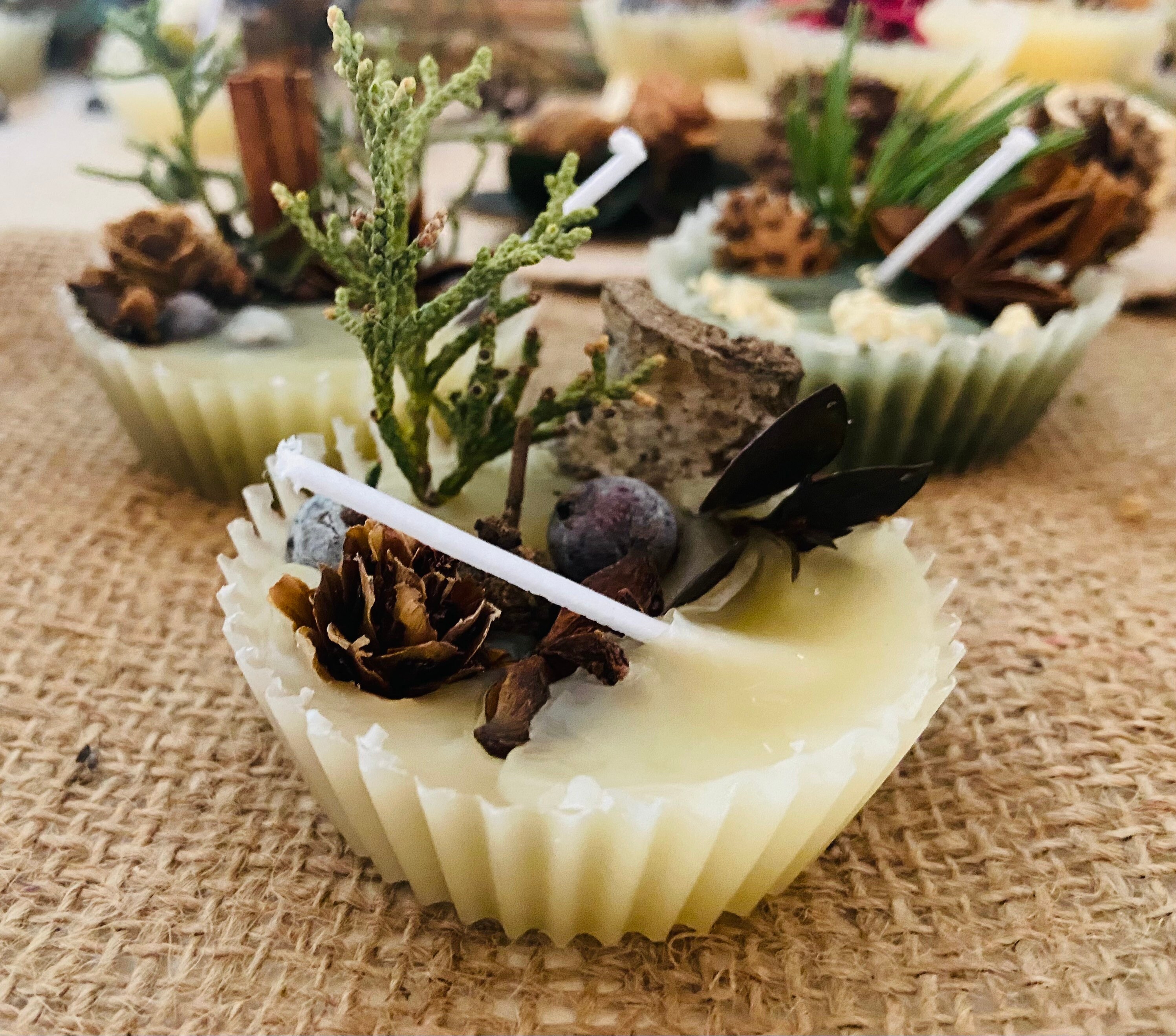 4 Pack Fire Starters, All Natural Homemade Firestarters, Forest Scented ...