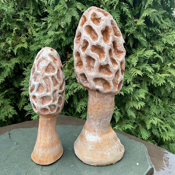 Morel Mushroom Landscape Statue - Etsy