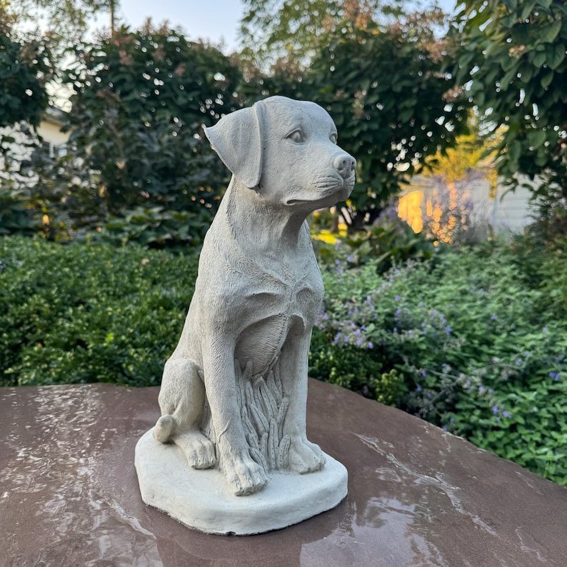 Large Concrete Labrador Garden Statue 14.5" Cement Dog Sculpture Yard ...