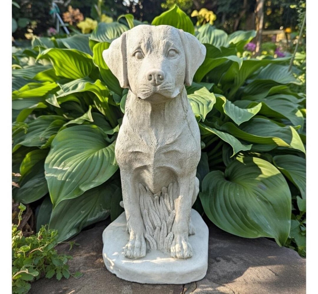 Large Concrete Labrador Garden Statue 14.5" Cement Dog Sculpture Yard ...