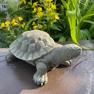 Concrete Turtle Garden Statue 10 Inch Outdoor Yard Art Decor Sculpture ...