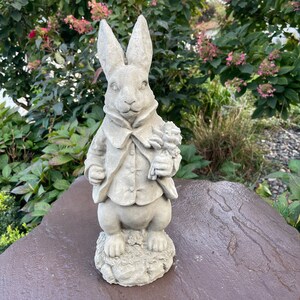 Large Peter Rabbit Garden Statue 17 Lily Bobtail Outdoor Stone Decor ...