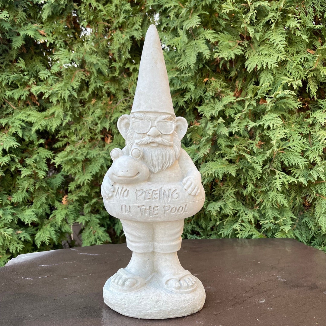 17 Swimming Pool Gnome Statue With Inner Tube, Frog Décor, no Peeing in ...
