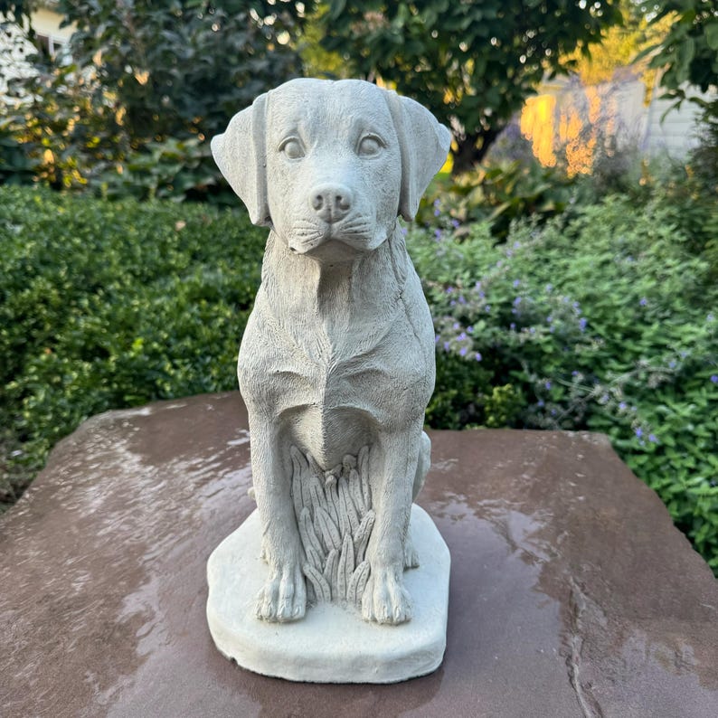 Large Concrete Labrador Garden Statue 14.5" Cement Dog Sculpture Yard ...