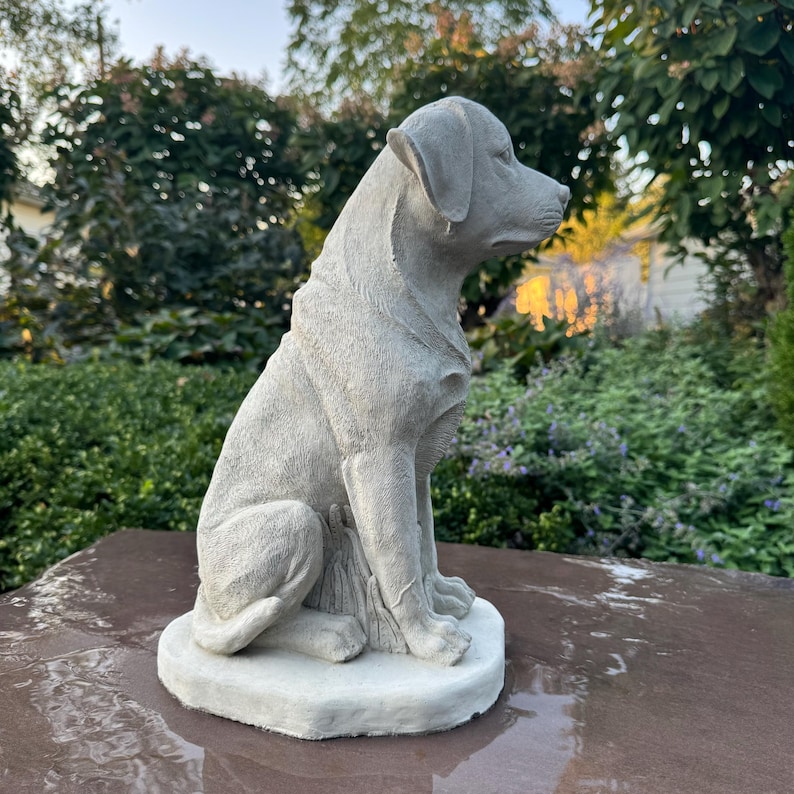 Large Concrete Labrador Garden Statue 14.5" Cement Dog Sculpture Yard ...
