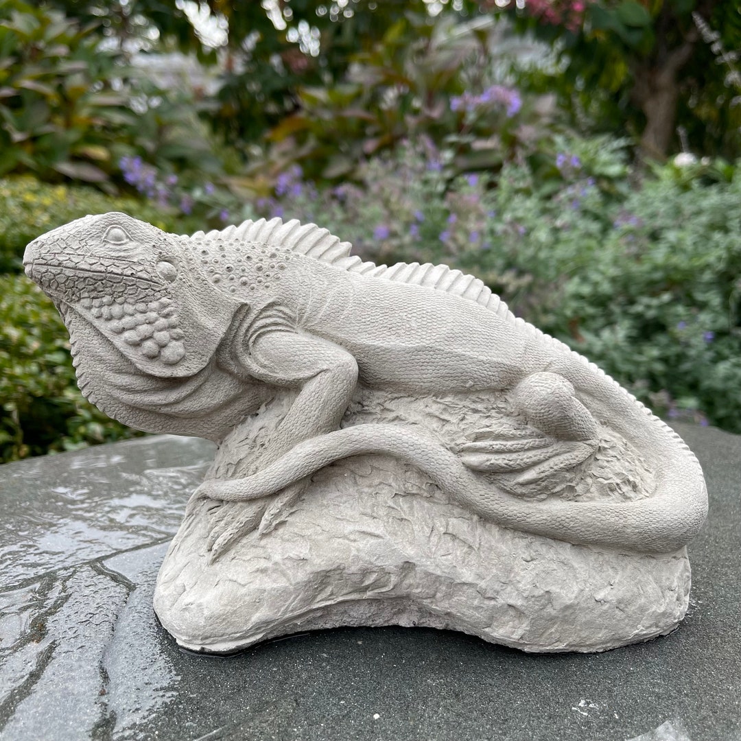 Concrete Lizard Garden Statue Bearded Dragon Figurine for Outdoor 9 ...