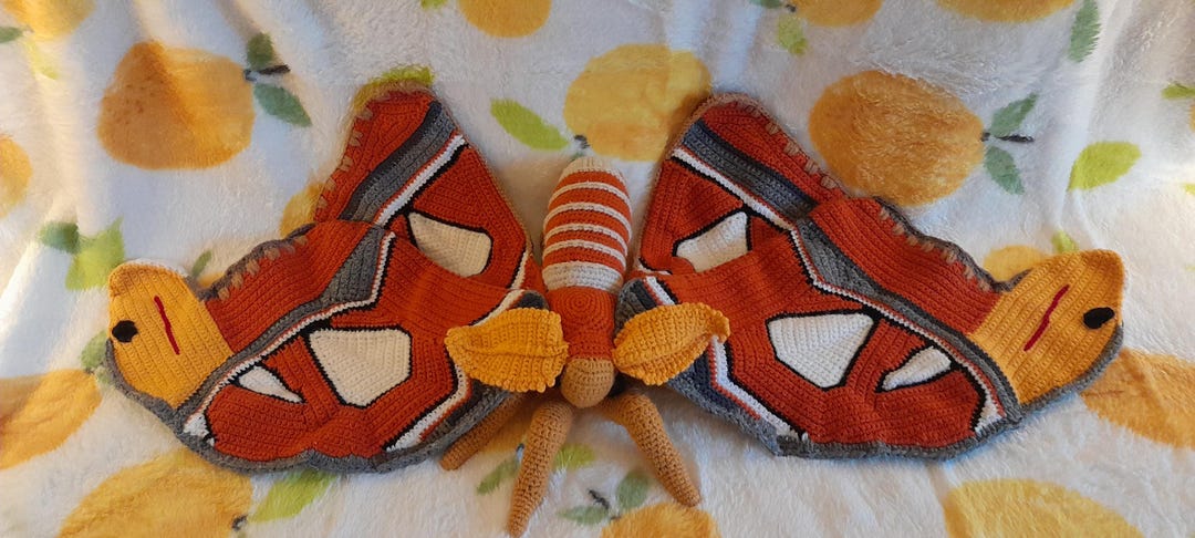 Atlas Moth Plush, Realistic Crochet Insect Stuffed Animal, Wall Decor ...