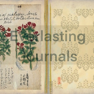 Set 18 - Japanese Botanical Drawings - Een Digitale Verzameling Vintage ...