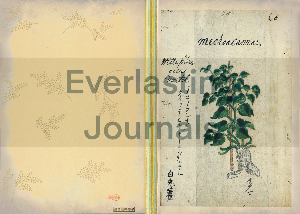 Set 18 - Japanese Botanical Drawings - Een Digitale Verzameling Vintage ...