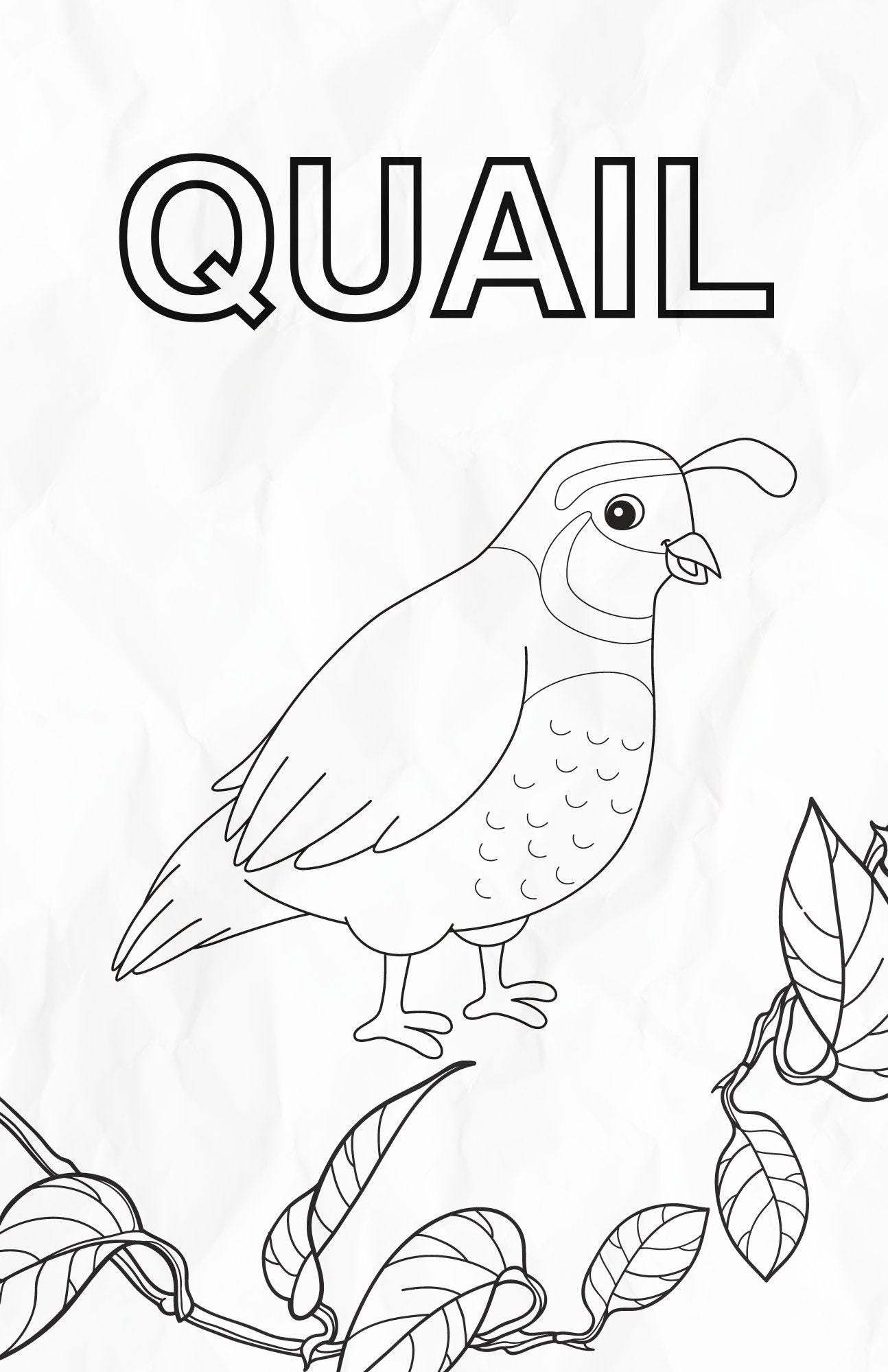 A-Z Animals Coloring Book - Etsy