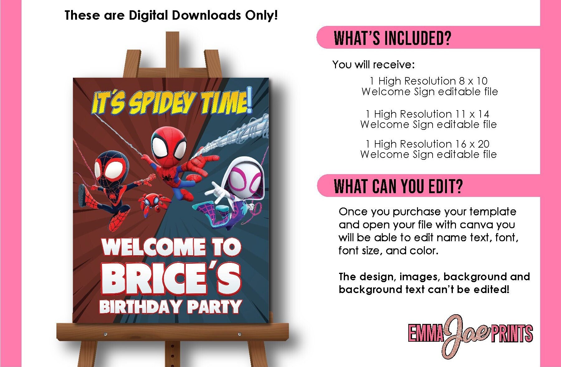 Spidey Friends Birthday Party Welcome Sign, Spidey Editable Welcome ...