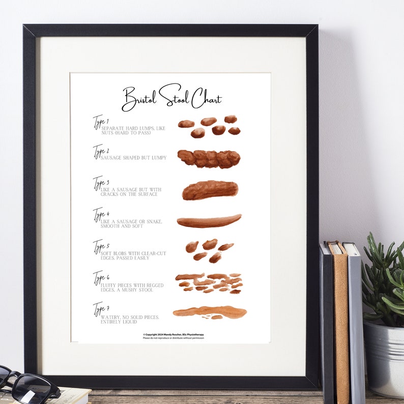 Bristol Stool Chart - Watercolour Digital Art Download - Etsy