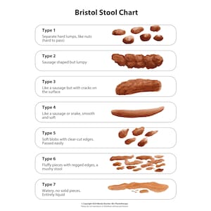 Bristol Stool Chart - Watercolour Digital Art Download - Etsy