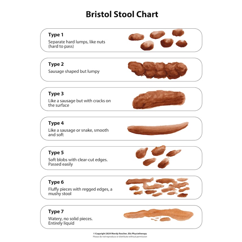 Bristol Stool Chart - Watercolour Digital Art Download - Etsy
