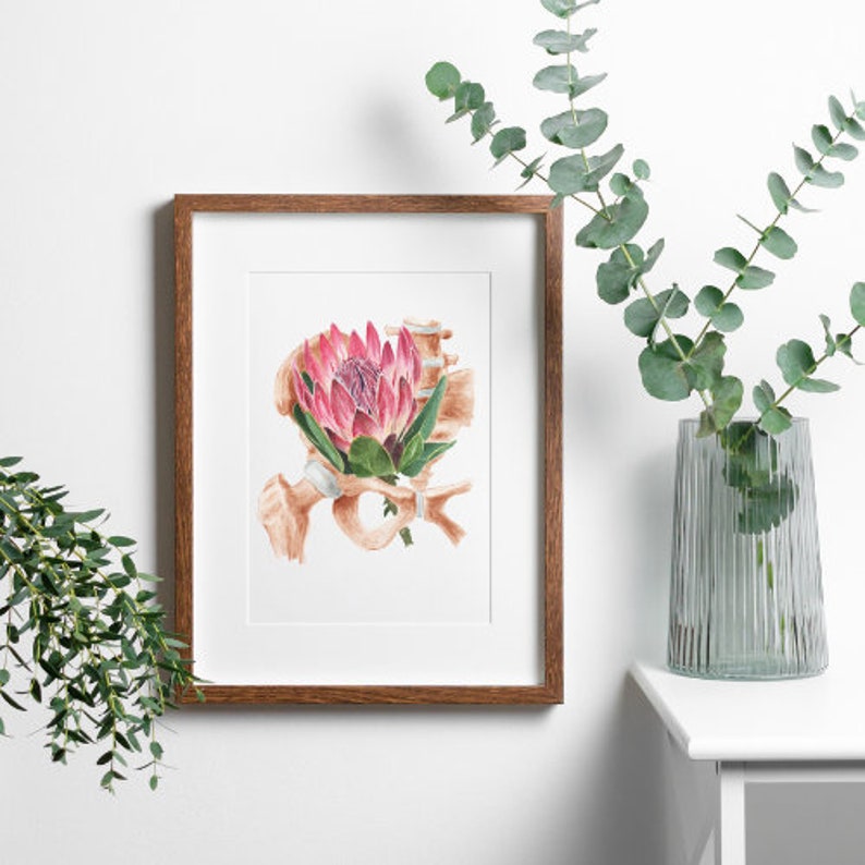 Pelvis With Protea / Floral Watercolour Anatomy- Digital Art Download ...