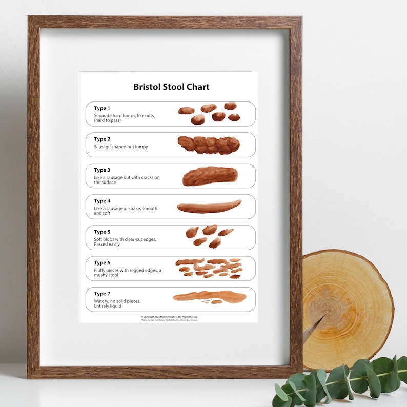Bristol Stool Chart - Watercolour Digital Art Download - Etsy