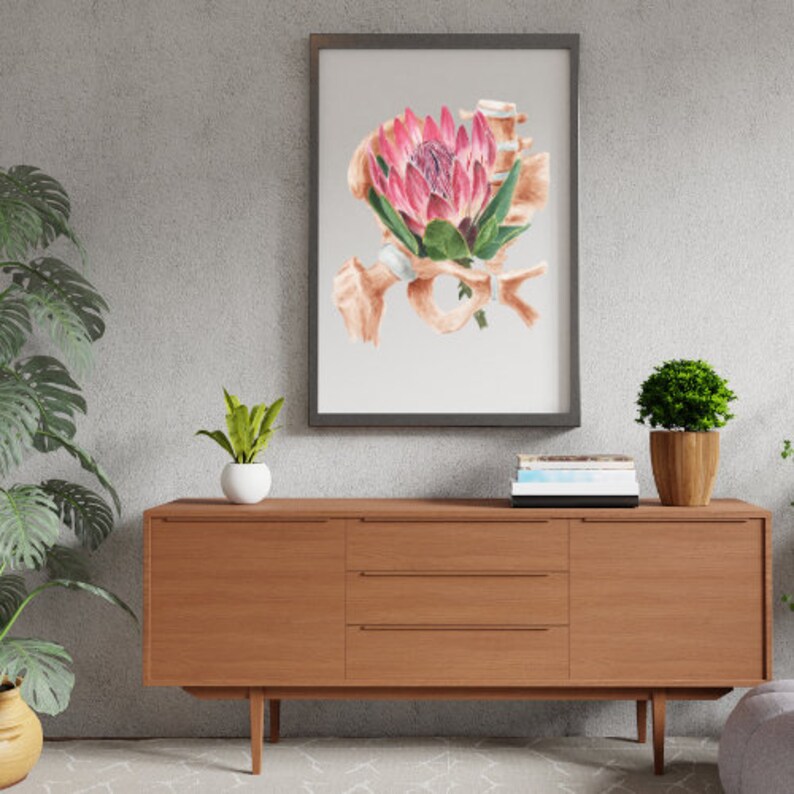 Pelvis With Protea / Floral Watercolour Anatomy- Digital Art Download ...