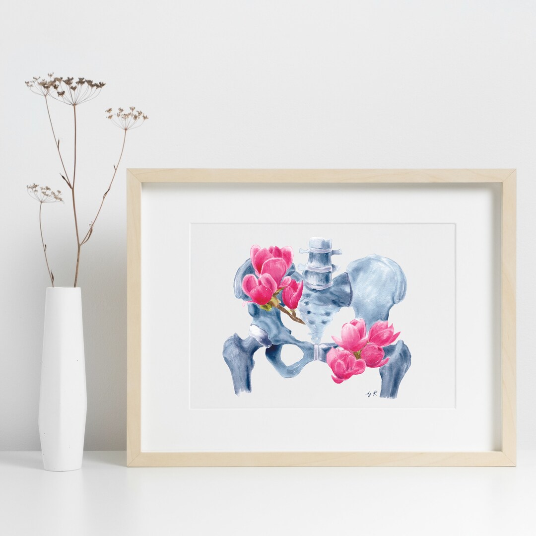Pelvis With Magnolias / Floral Anatomy Watercolour - Digital Art ...
