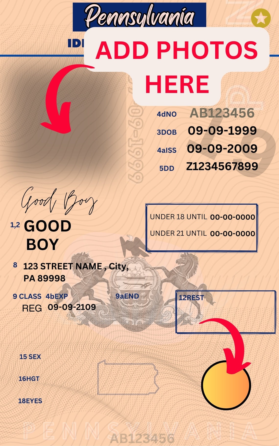 Pennsylvania Identification Card Fully Editable Digital Printable Pet ...