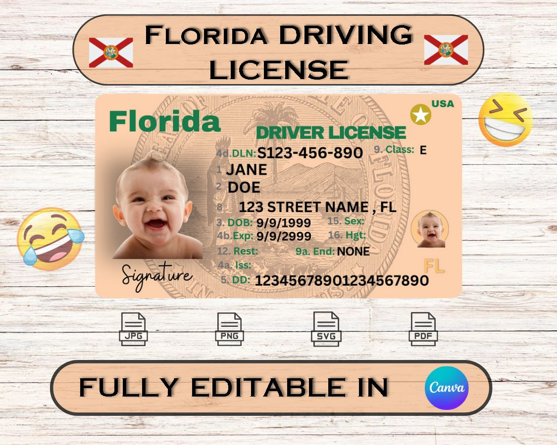 Blank Drivers License