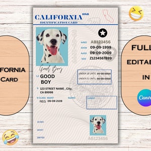 California Identification Card Fully Editable Digital Printable Pet ID ...