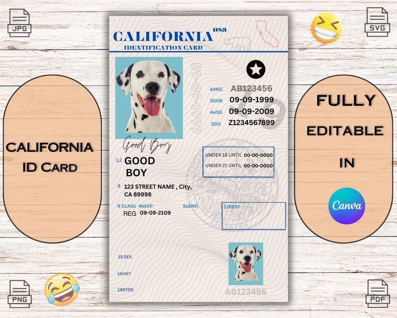 California Identification Card Fully Editable Digital Printable Pet ID ...