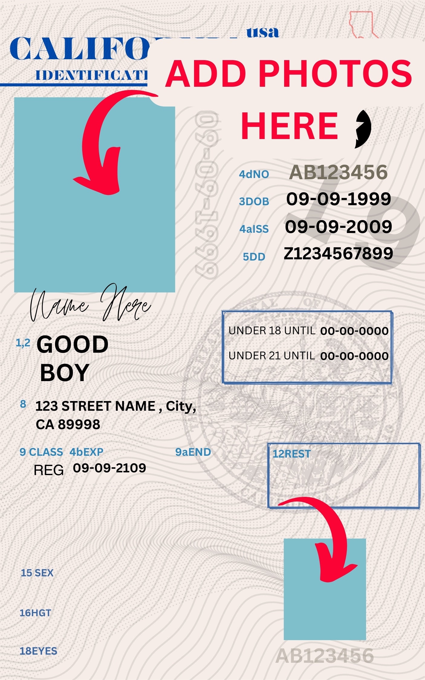 California Identification Card Fully Editable Digital Printable Pet ID ...