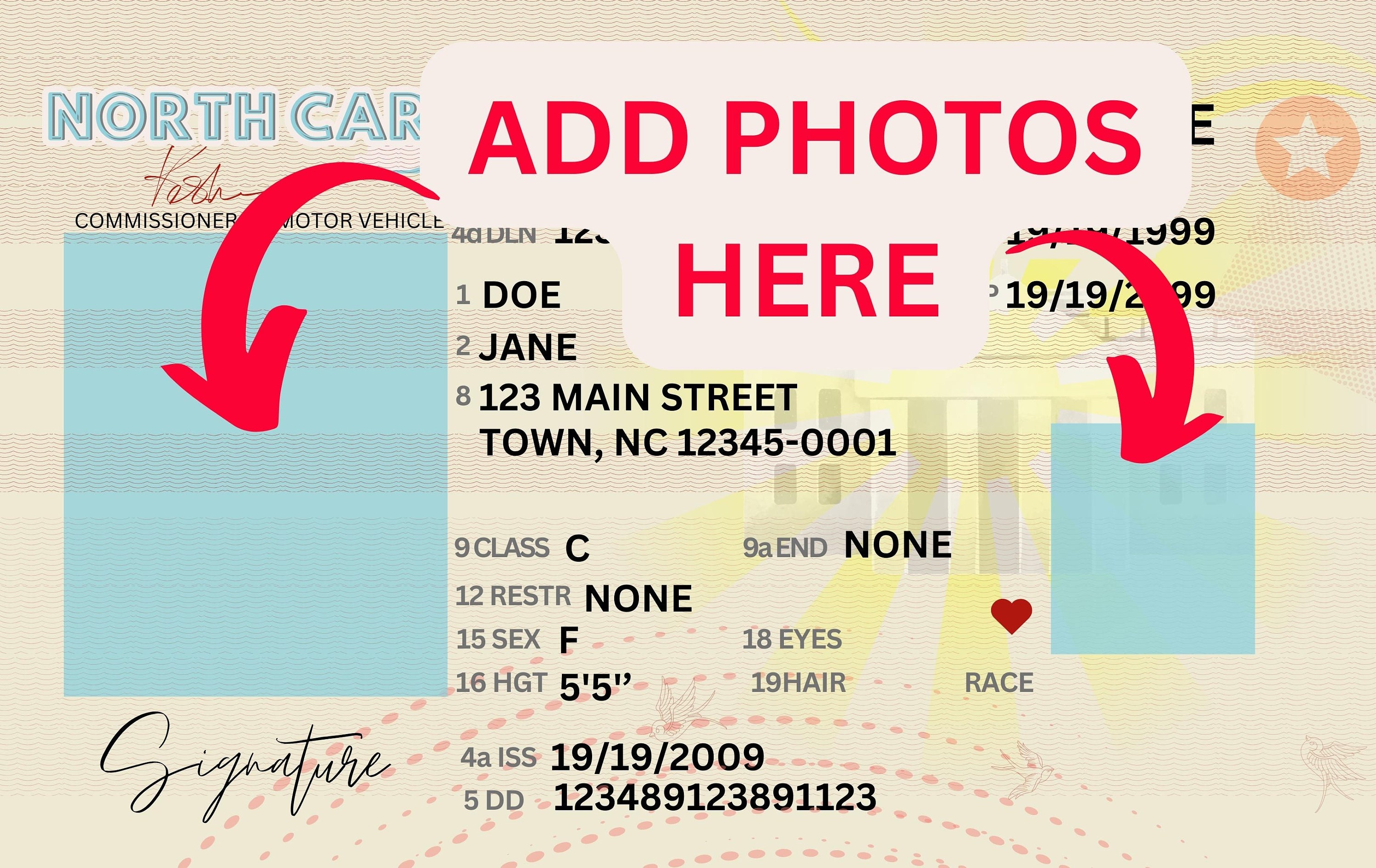 North Carolina Driver License Fully Canva Editable Digital - Etsy