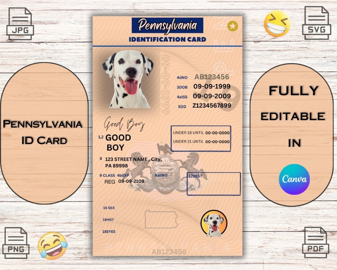 Pennsylvania Identification Card Fully Editable Digital Printable Pet ...