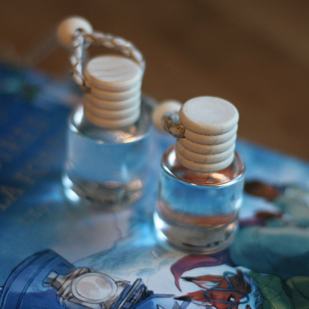 Hanging Perfume Perfume for Car & Interior wardrobe - Etsy