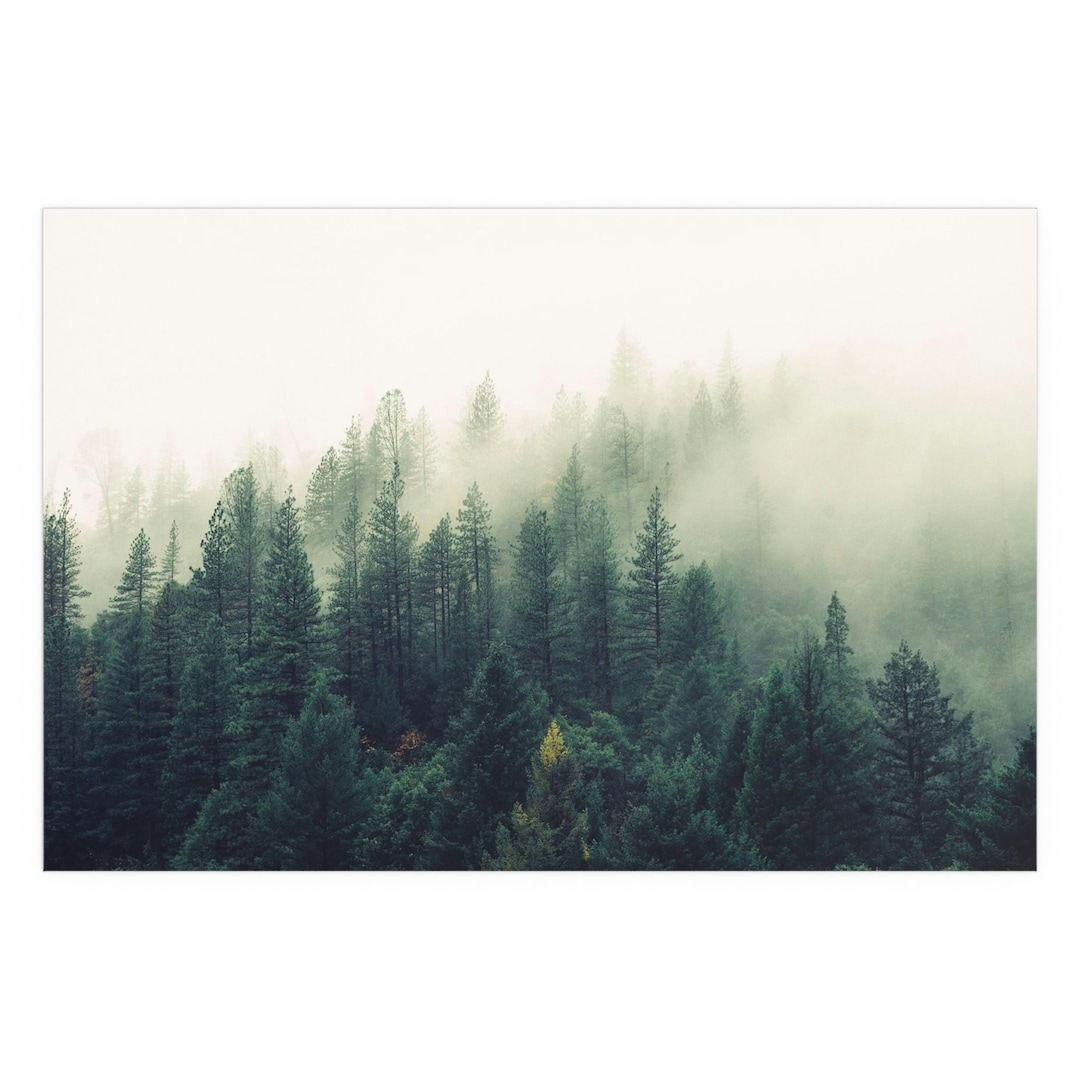 Dark Green Forest Covered in Fog Poster | Wall Art for Home, Office and ...