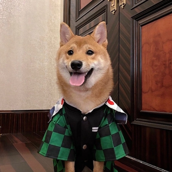 Anime Cosplay - Etsy