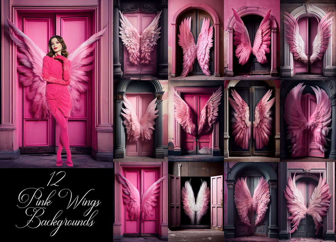 12 Pink Painterly Feather Wing Fantasy Backgrounds - Etsy