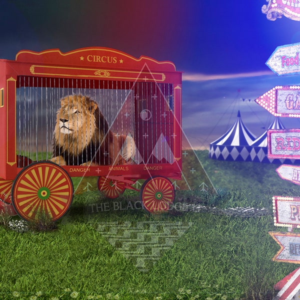 Circus Photography - Etsy