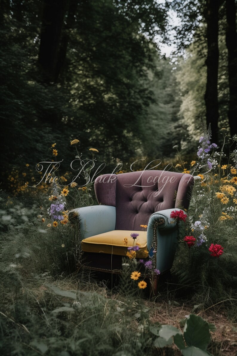 12 Meadow Chair Backgrounds Digital Backgrounds Photography - Etsy