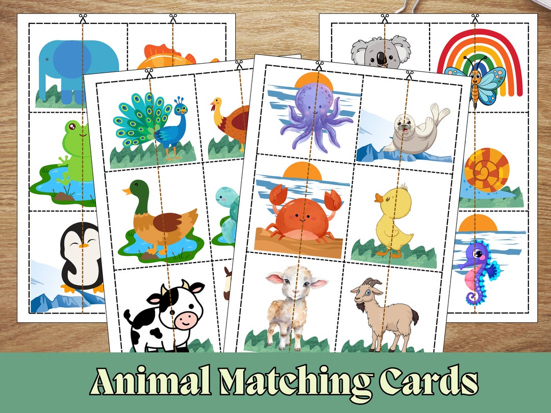 36 Animals Matching Game for Kids, Symmetry Puzzle, Match Picture Card ...