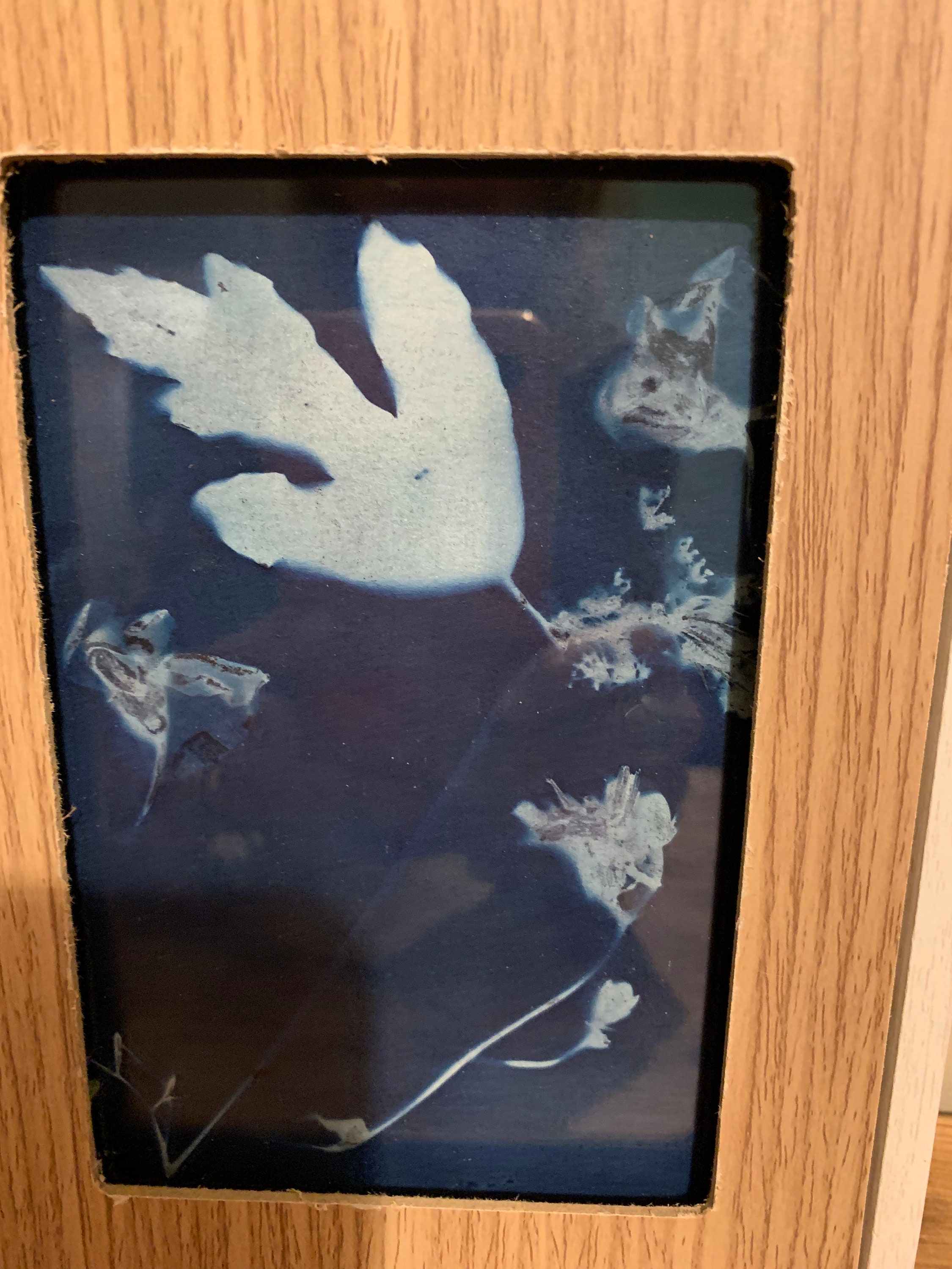 Cyanotype PAINTING Handmade Plane Tree - Etsy