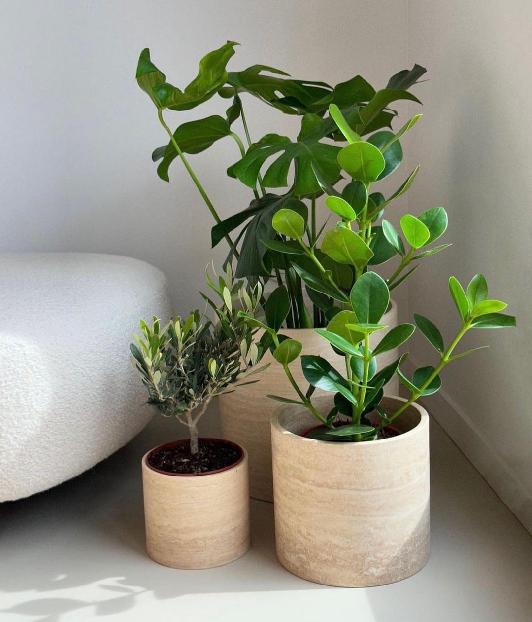 Travertine Round Pot Flower Vase is a Decorative Container Crafted From ...