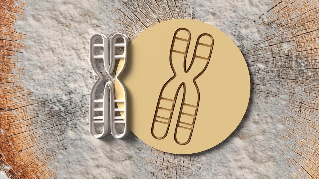 X Chromosome Cookie Cutter | Biology and Genetics Cookie Cutter ...