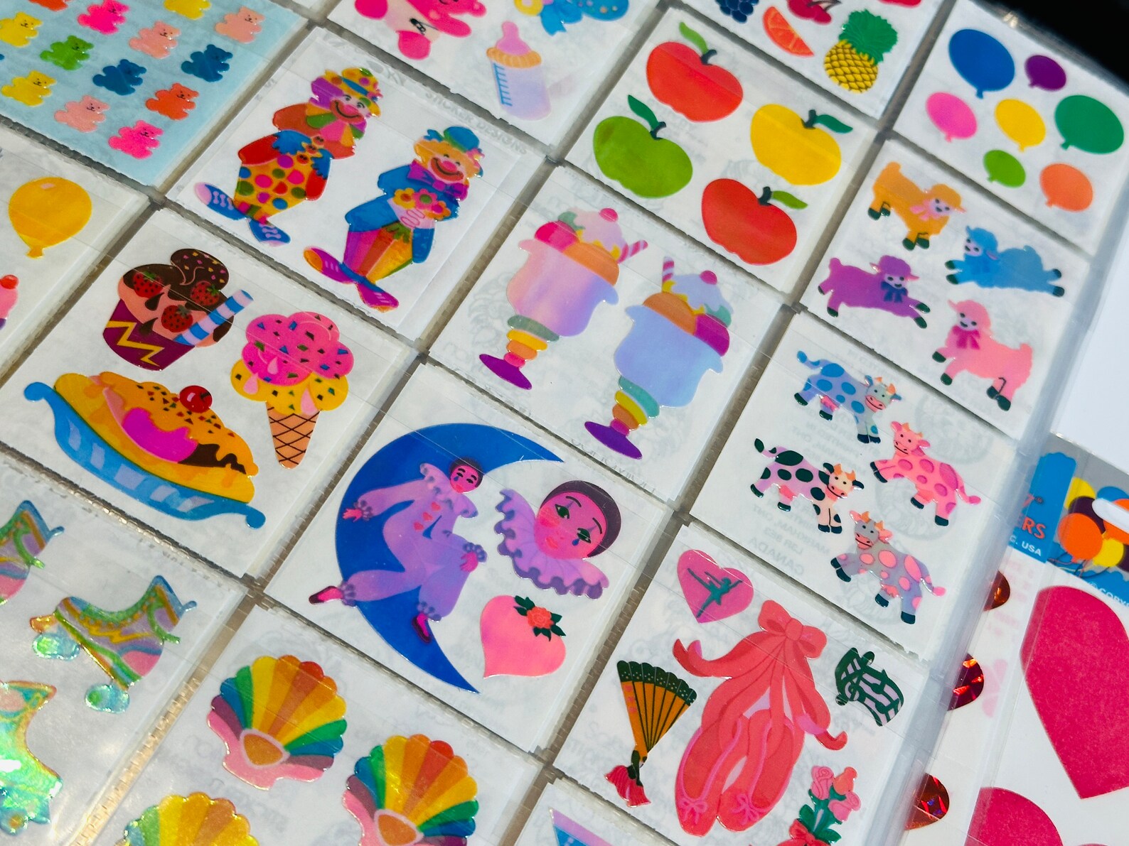 Clear Sticker Organizer Pages for Sandylion Sticker Modules 2 - Etsy