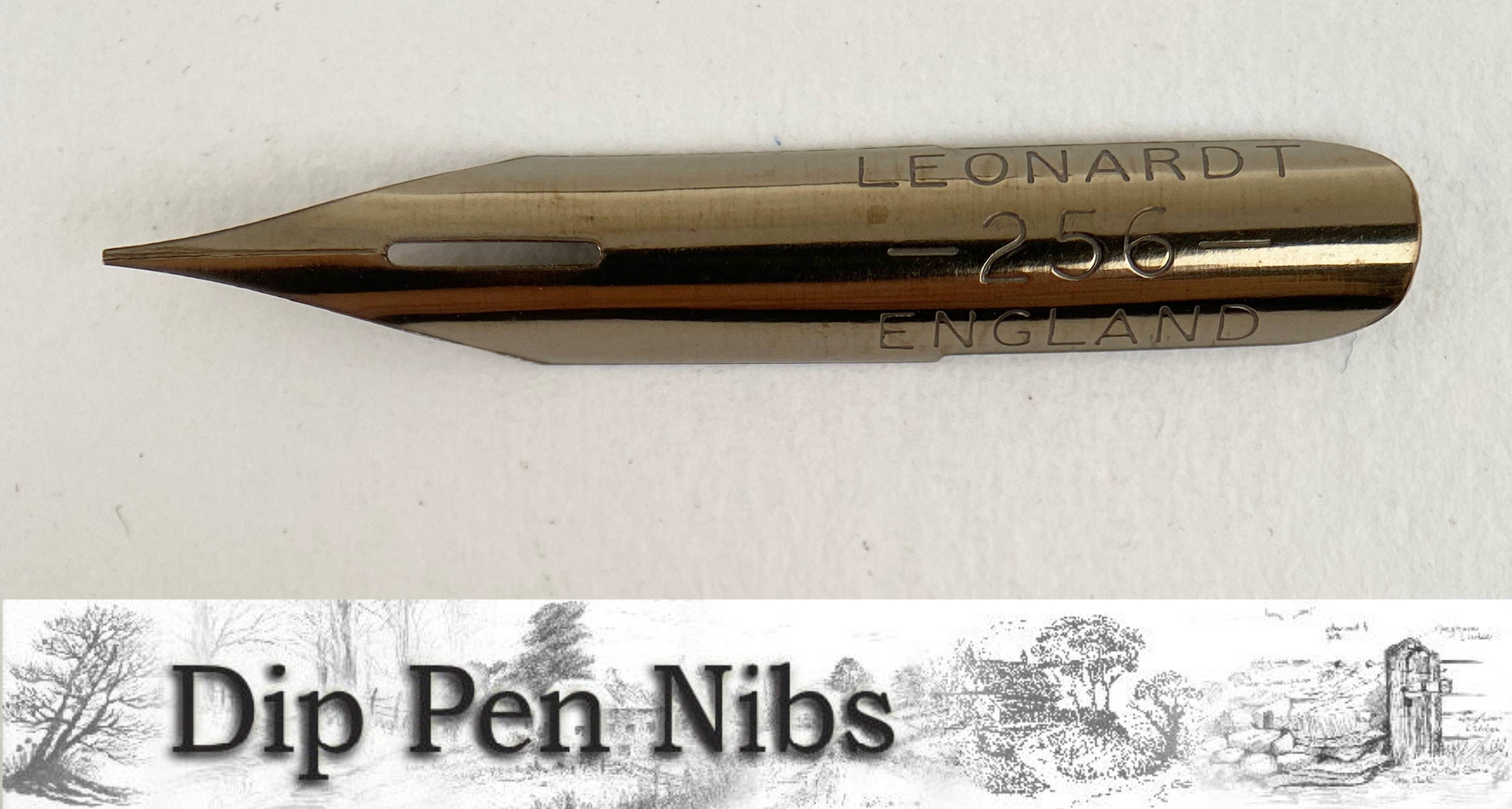 Drawing Dip Pen Nibs Excellent for Versals and Tendrils - Etsy UK