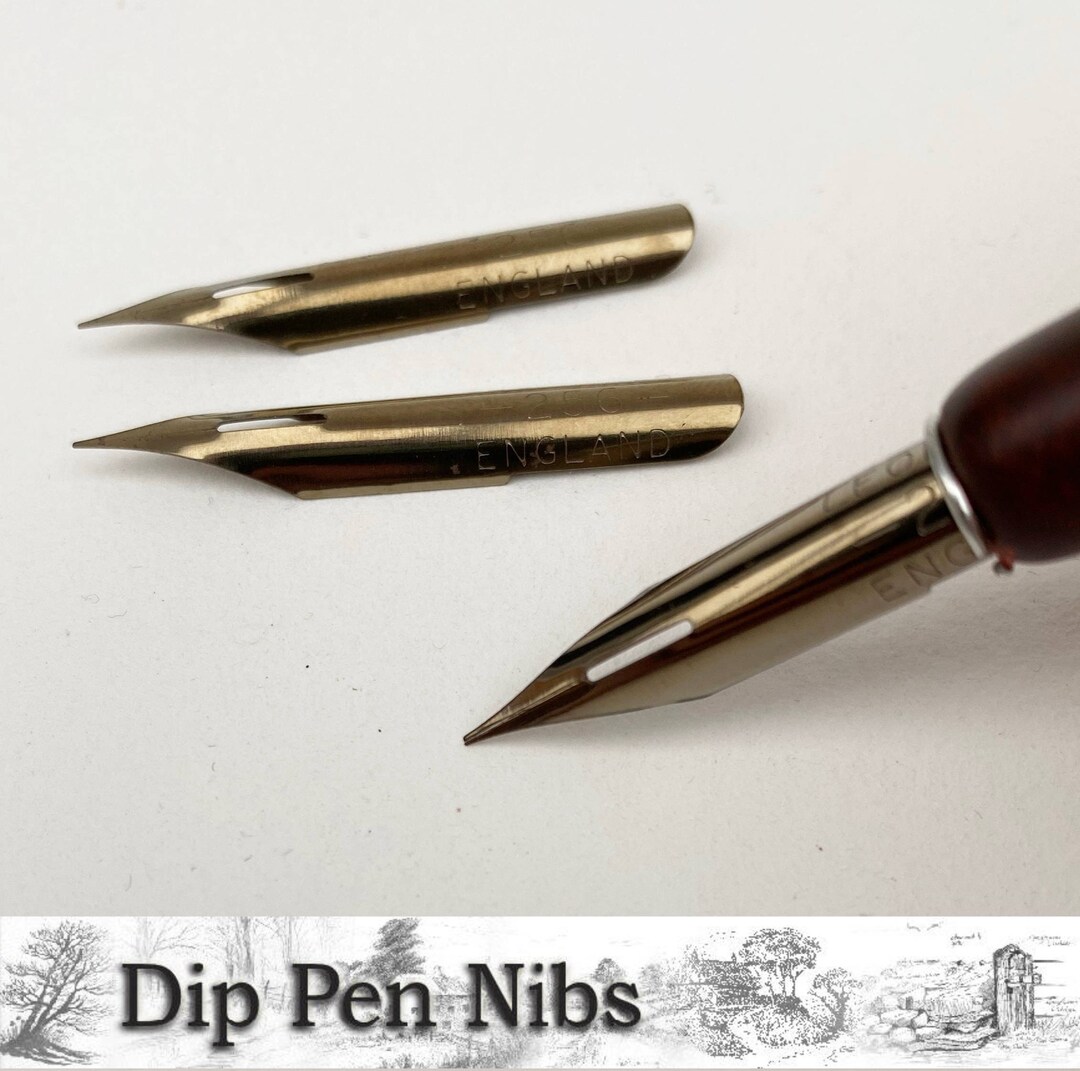 Drawing Dip Pen Nibs - Excellent for Versals and Tendrils, Especially ...
