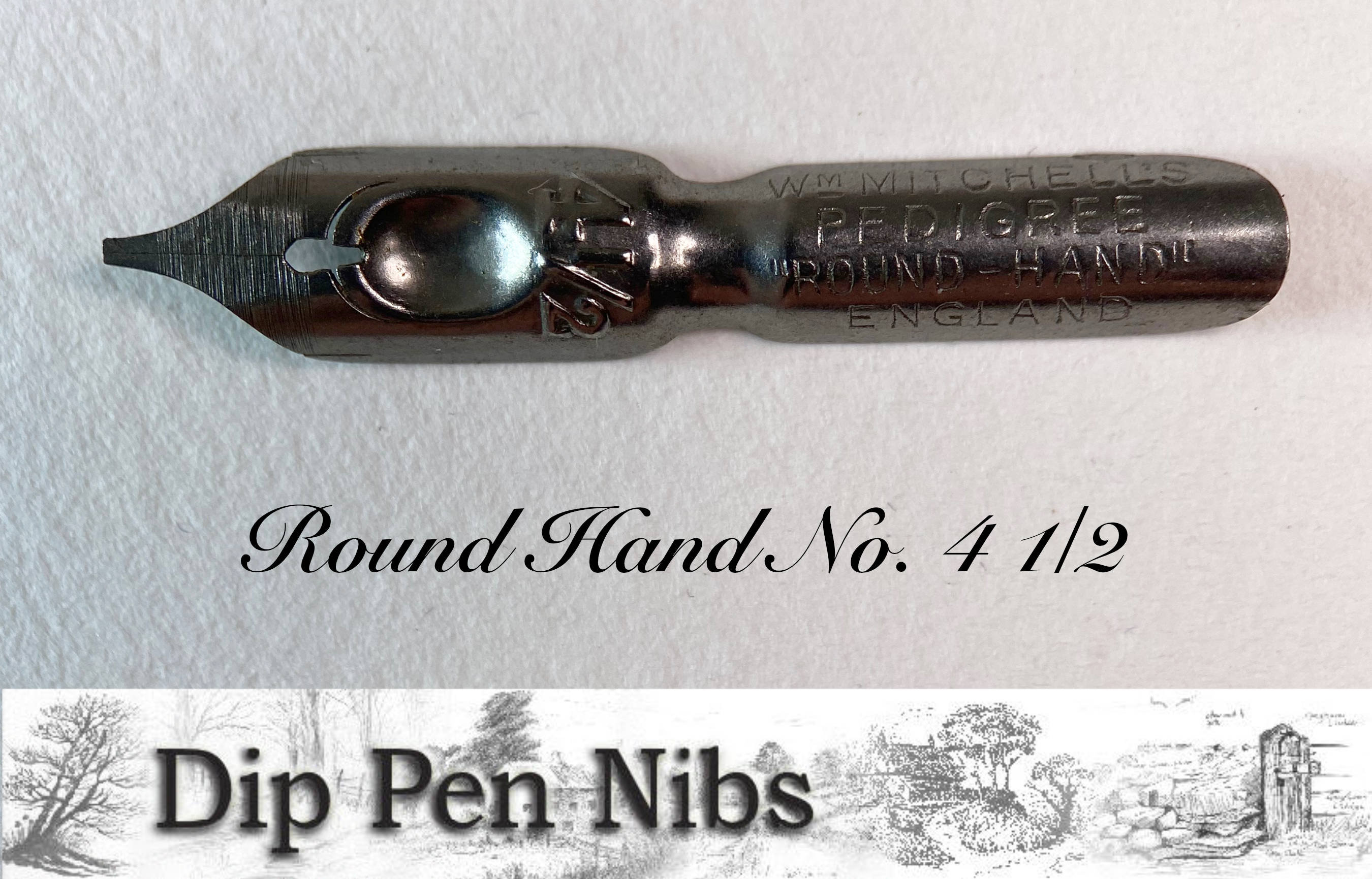 William Mitchell Round Hand Square Cut Nibs No. 4 1/2, 5, 5 1/2 & 6 ...