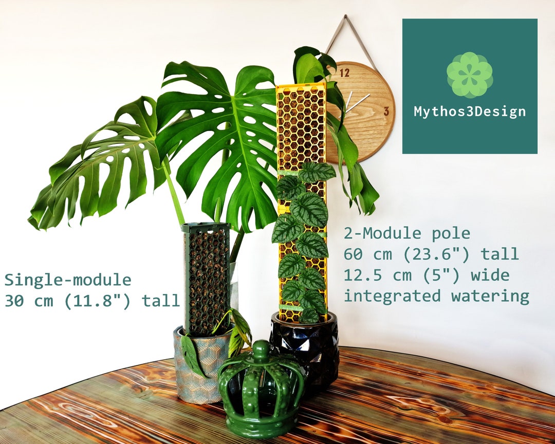 D-shaped Modular Moss Pole 12.5 Cm 5 Wide 30 Cm - Etsy