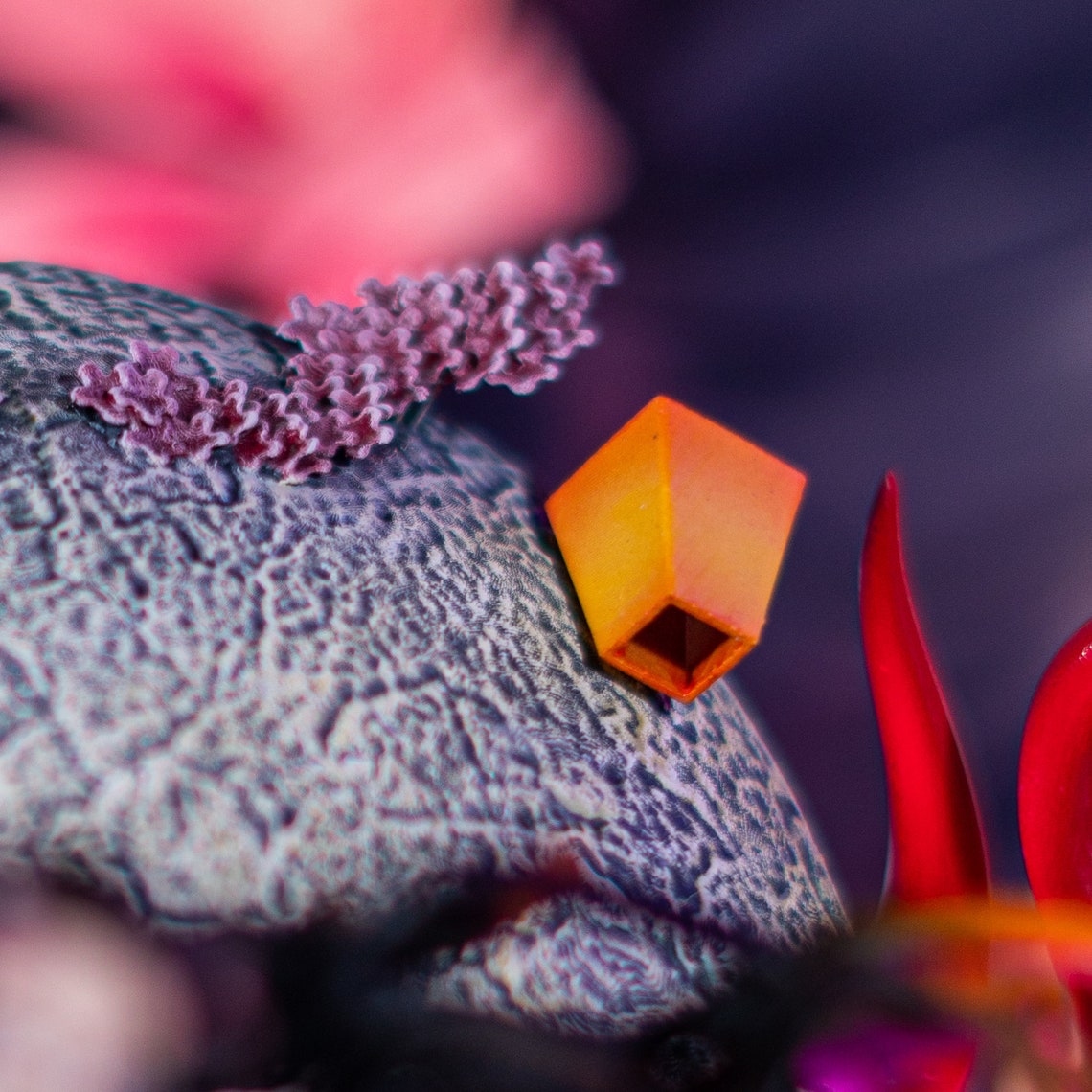 Nezko Diorama - 3D Printed and Hand Painted - Etsy