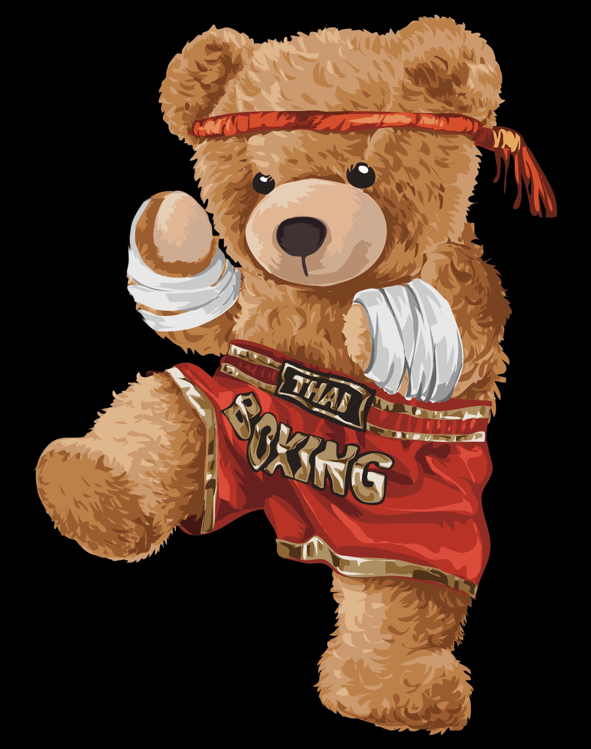 Muay Thai Teddy Bear, Thai Boxing Champion Graphic Tee, Kickboxing ...