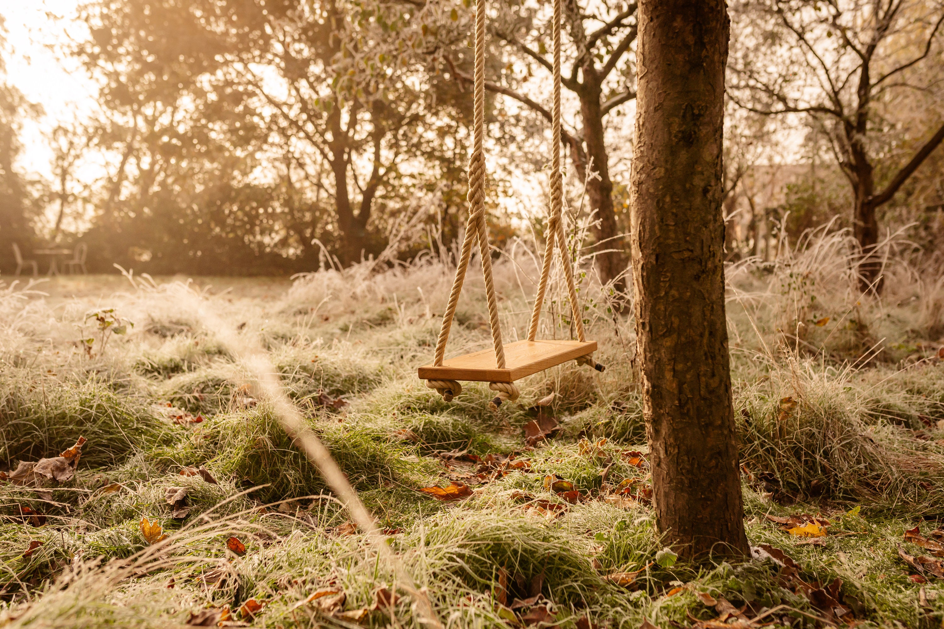 Rope Tree Swing Oak
