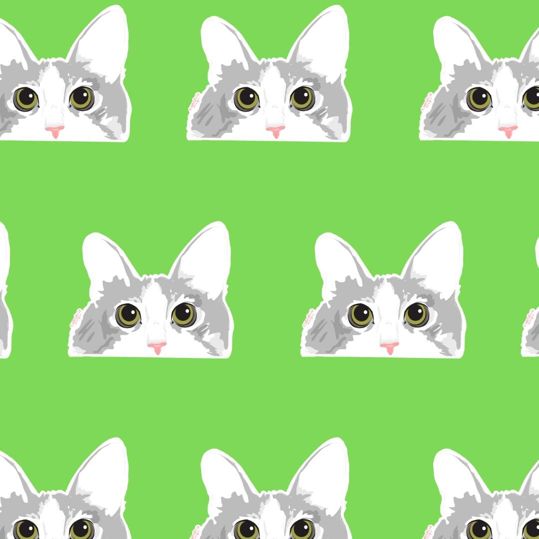 Kevin the Cat Sticker | Waterproof | Cute | Kitty Lover Sticker for ...