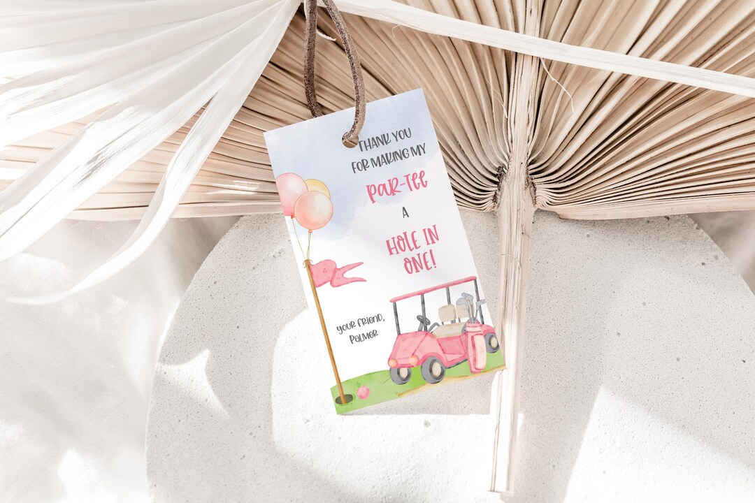 Pink Golf Theme Birthday Party for Girl, Hole in One 1st Birthday Party ...
